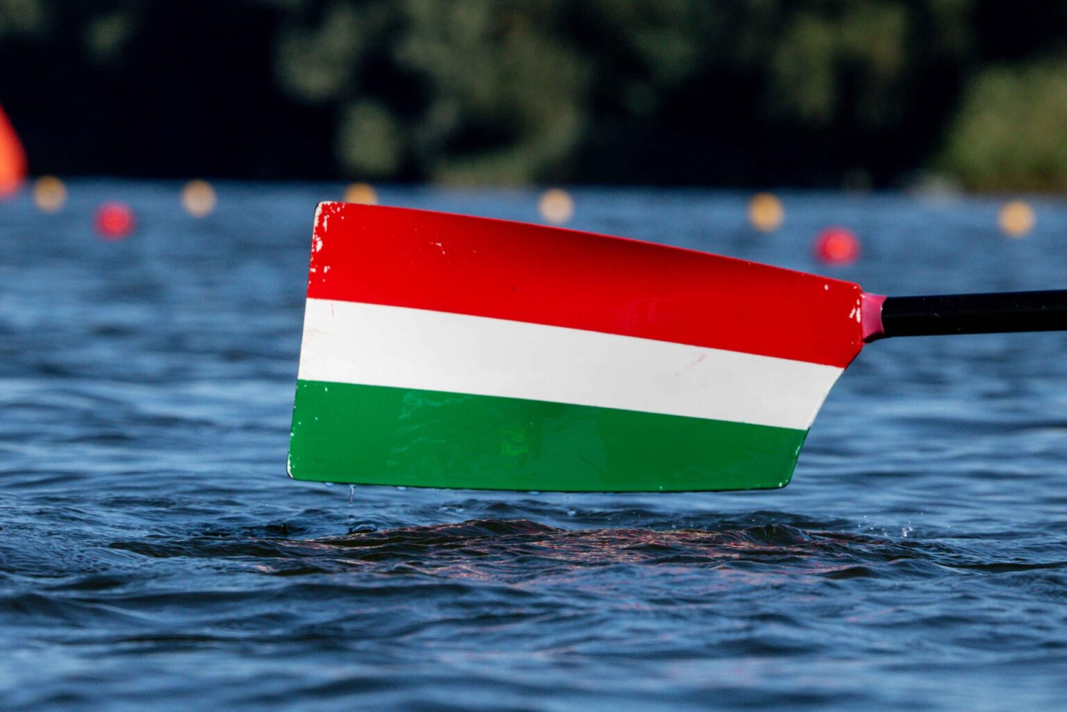 Magyar Evezős Szövetség - Hungarian Rowing Federation